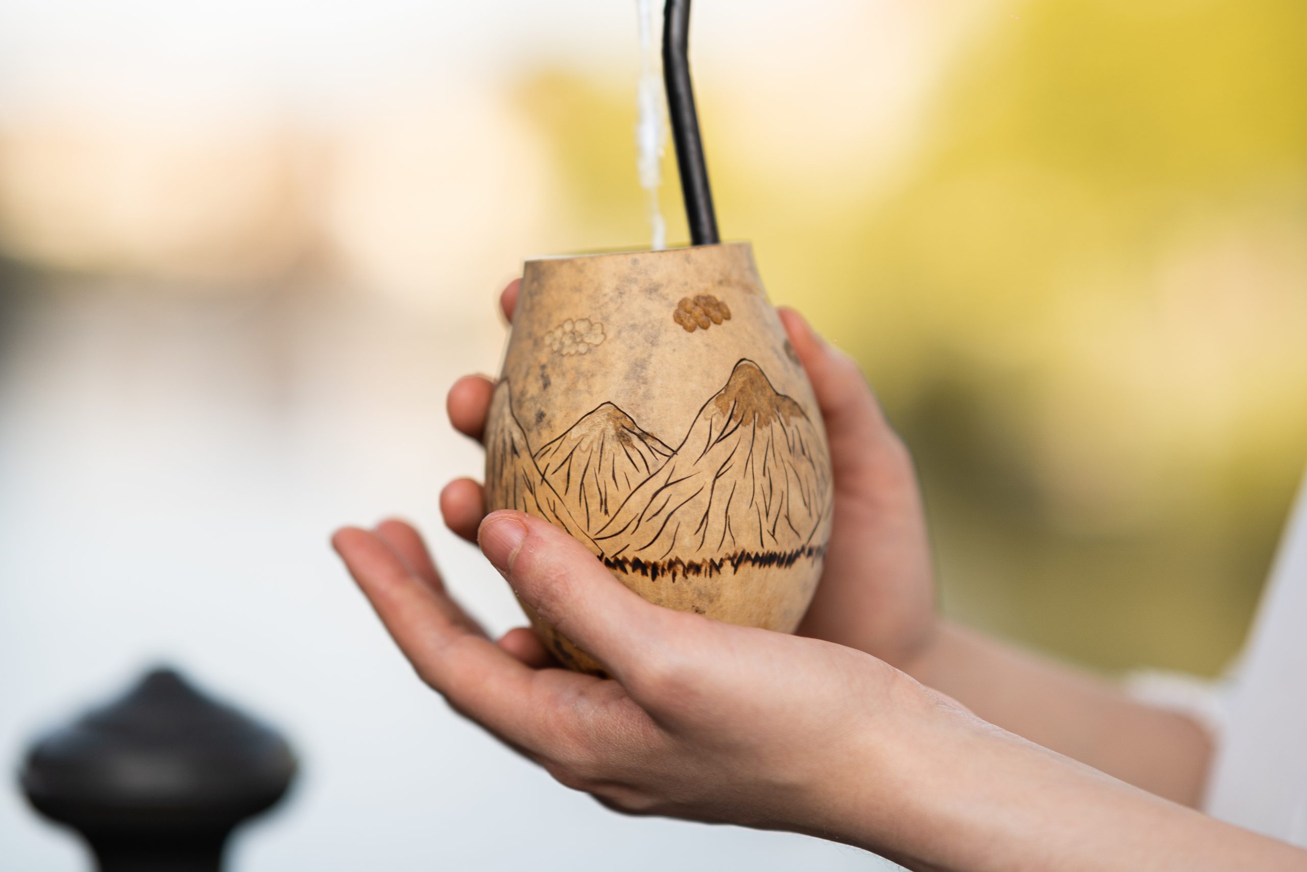 Comment curar sa calebasse en courge ? - Hola Maté